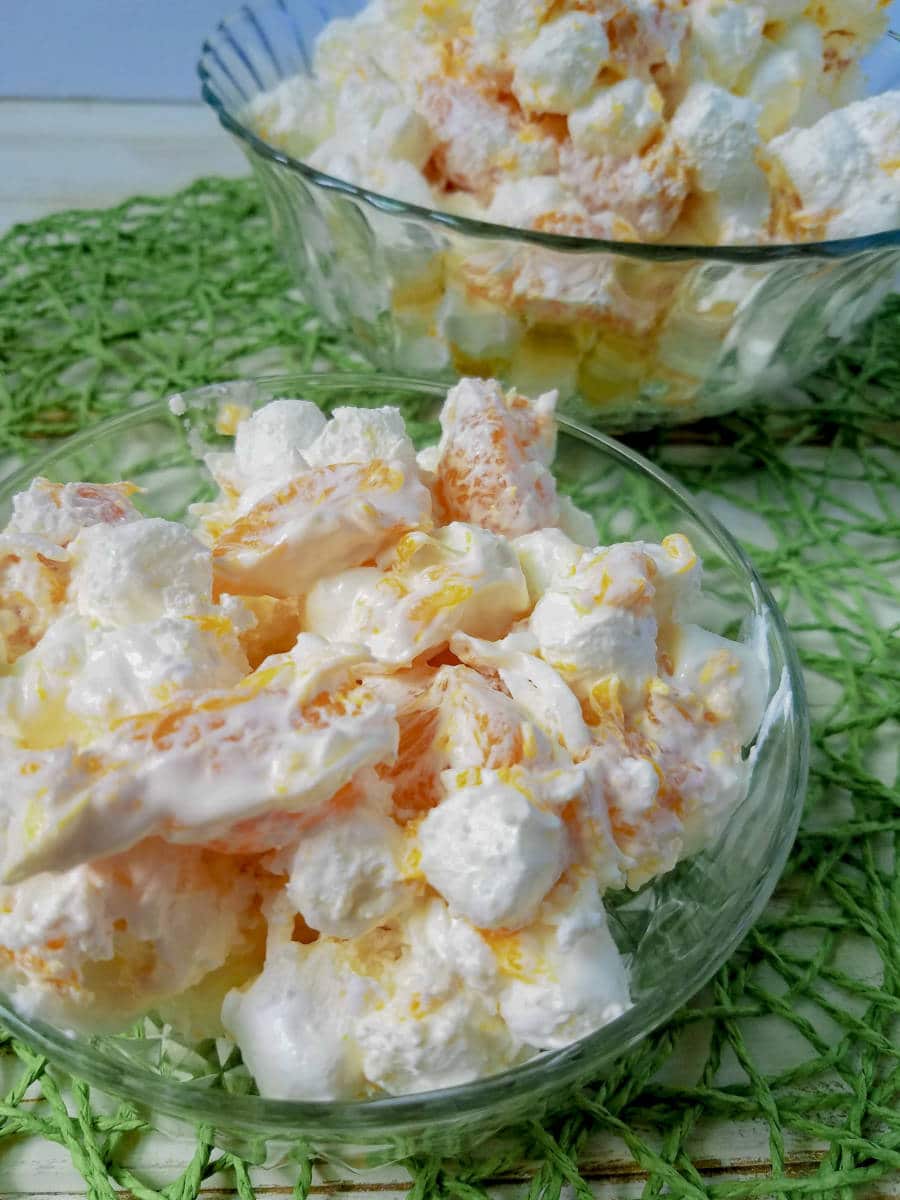 Packing Lunches and Day Camp Snack Ideas & delicious summer recipe!