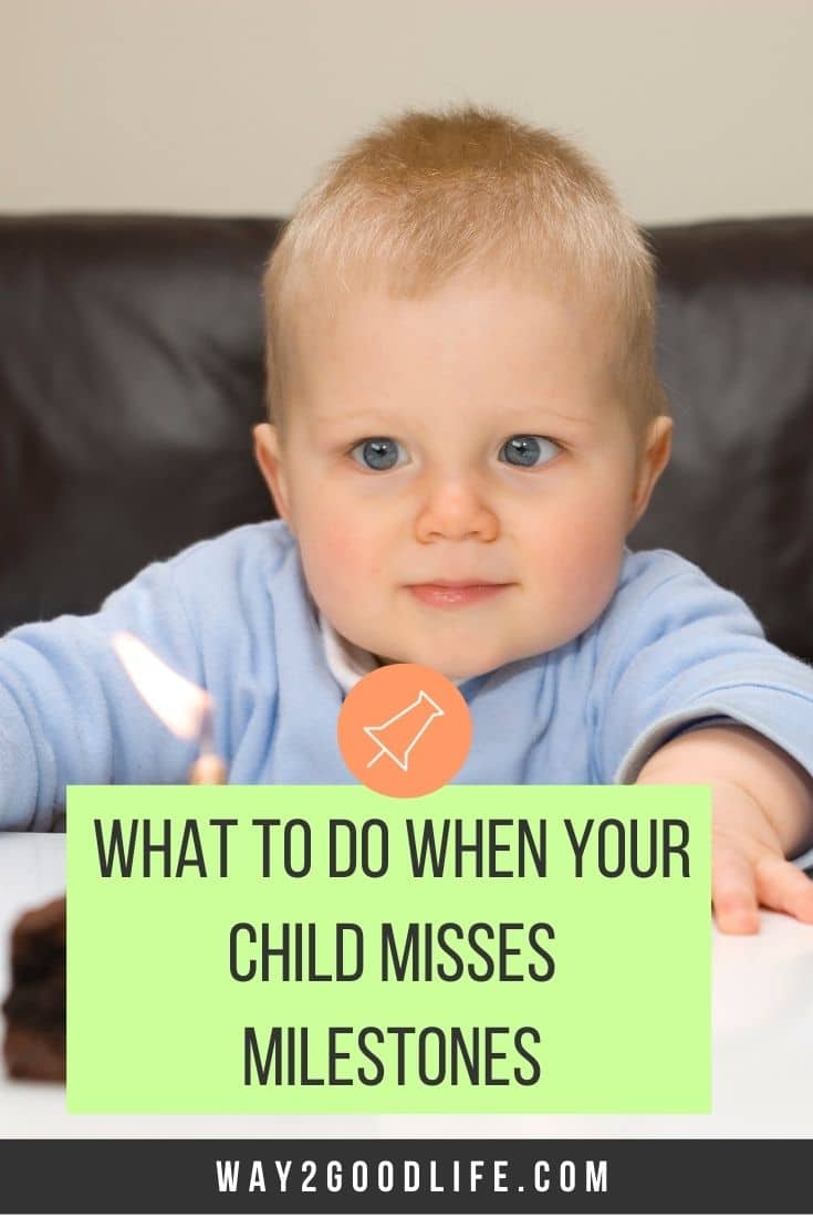 Toddler Developmental Milestones a My Personal Story of Missing Them