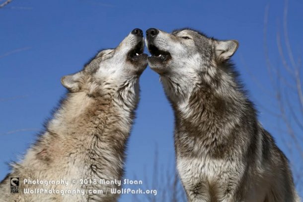 Family Adventures in Lafayette, Indiana - an easy weekend getaway