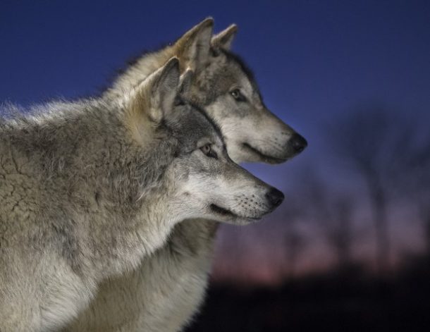 Family Adventures in Lafayette, Indiana - an easy weekend getaway